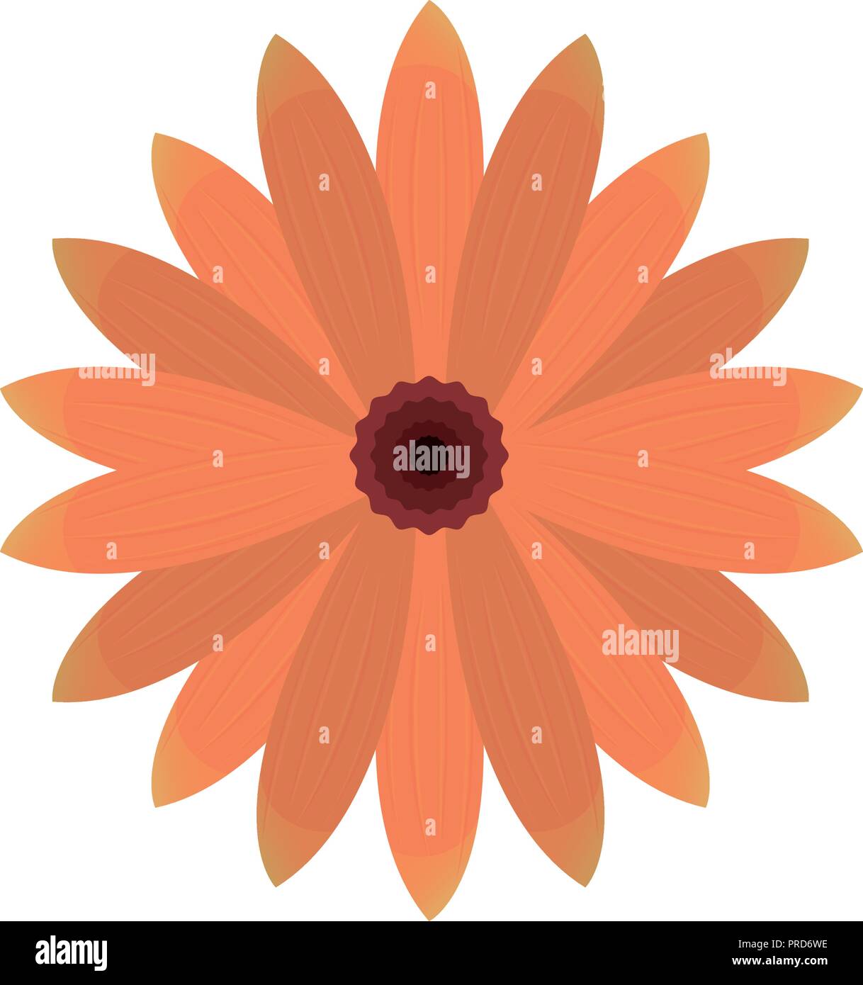 flower natural decoration isolated design vector illustration Stock ...