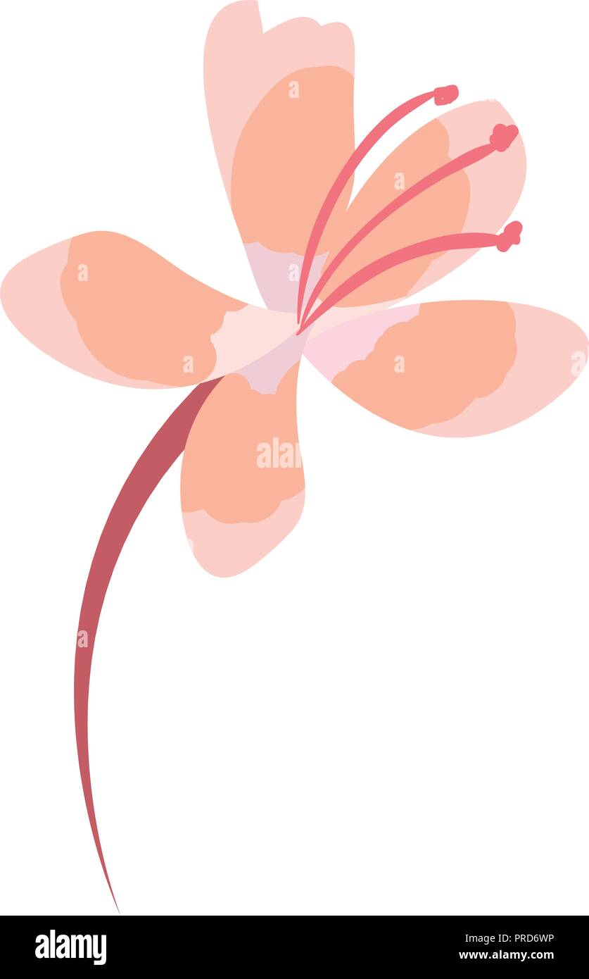 beauty flower steam nature isolated design vector illustration Stock ...