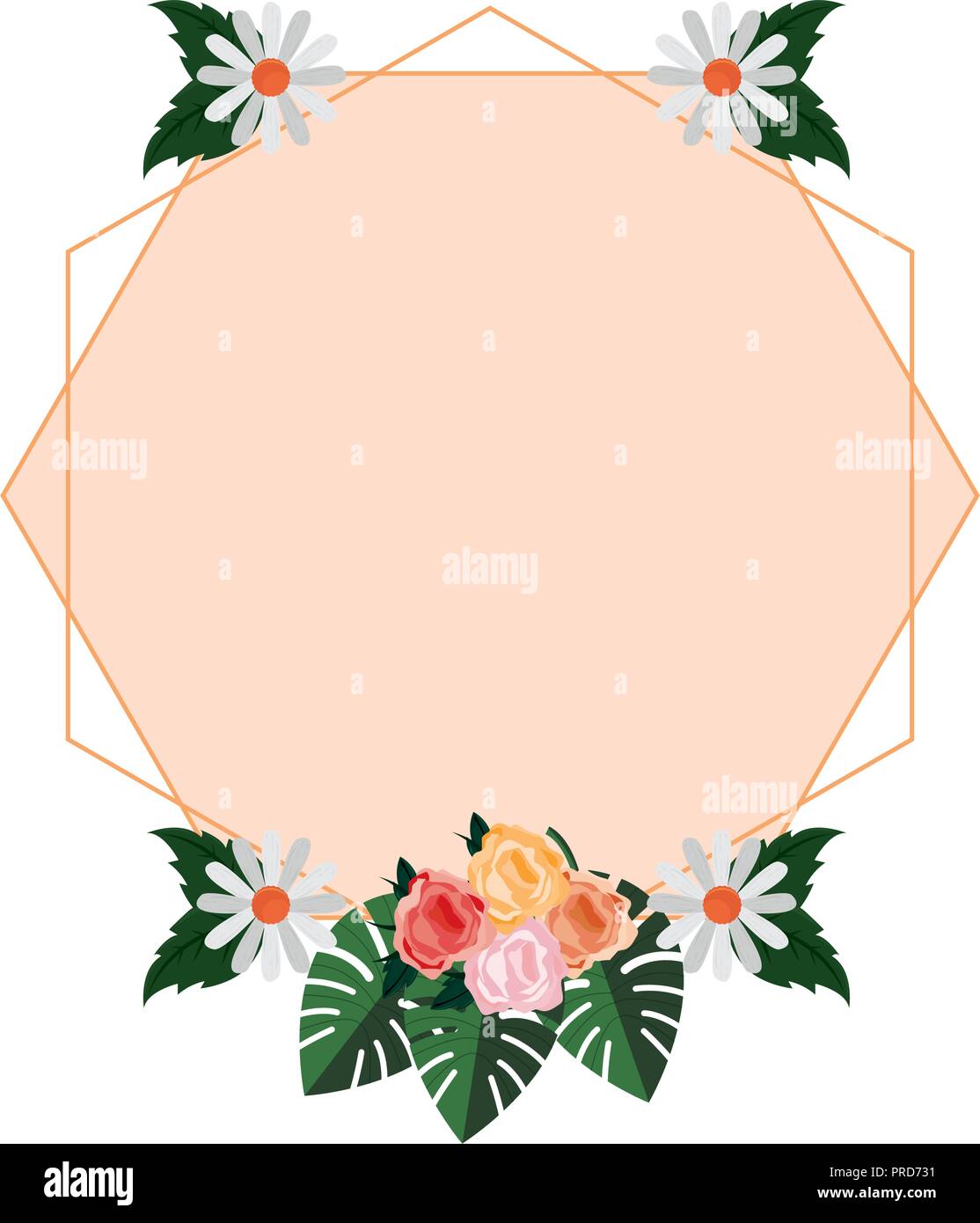 romantic label flowers floral decoration template vector illustration ...
