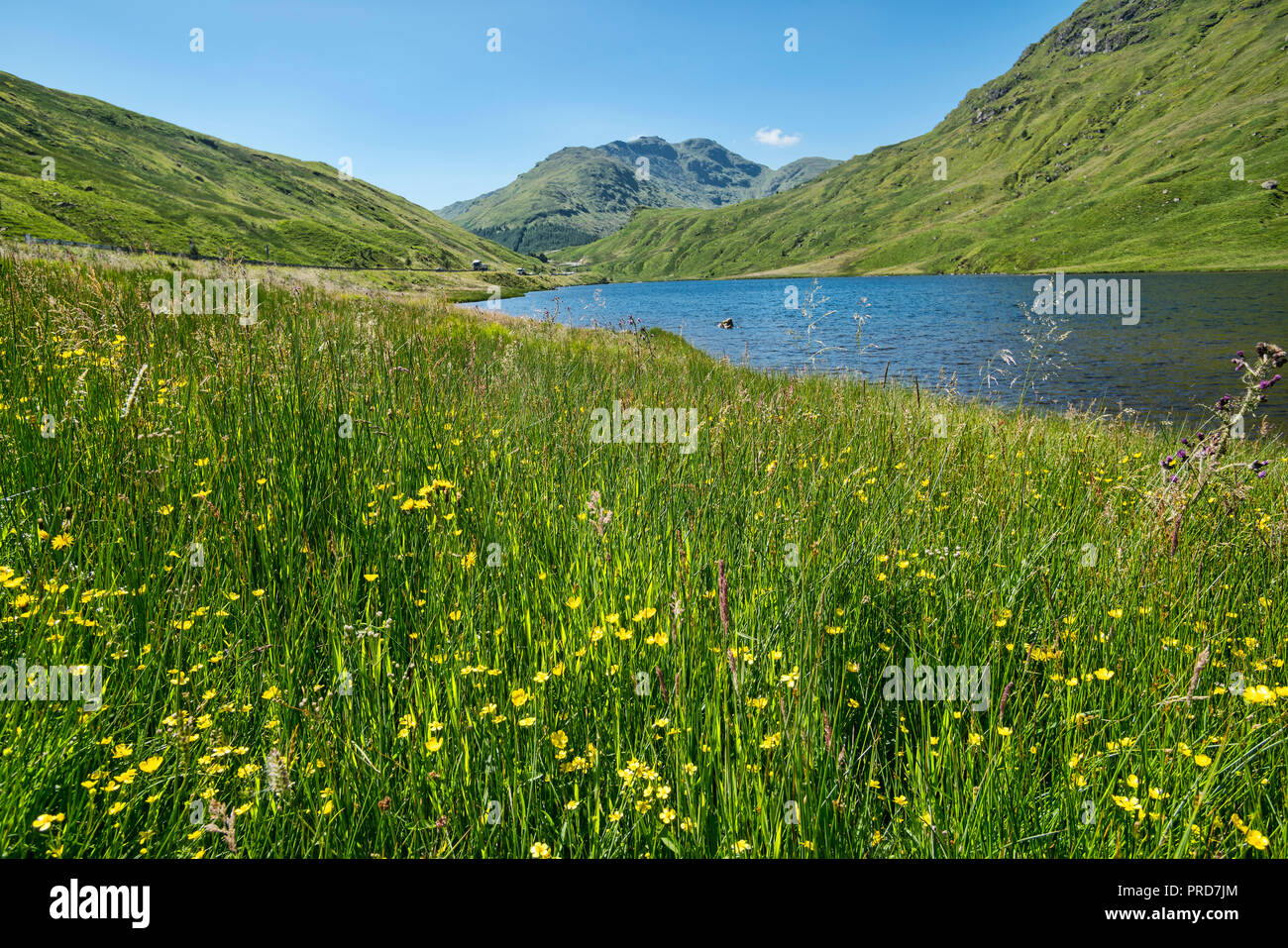 Loch restil scotland hi-res stock photography and images - Alamy
