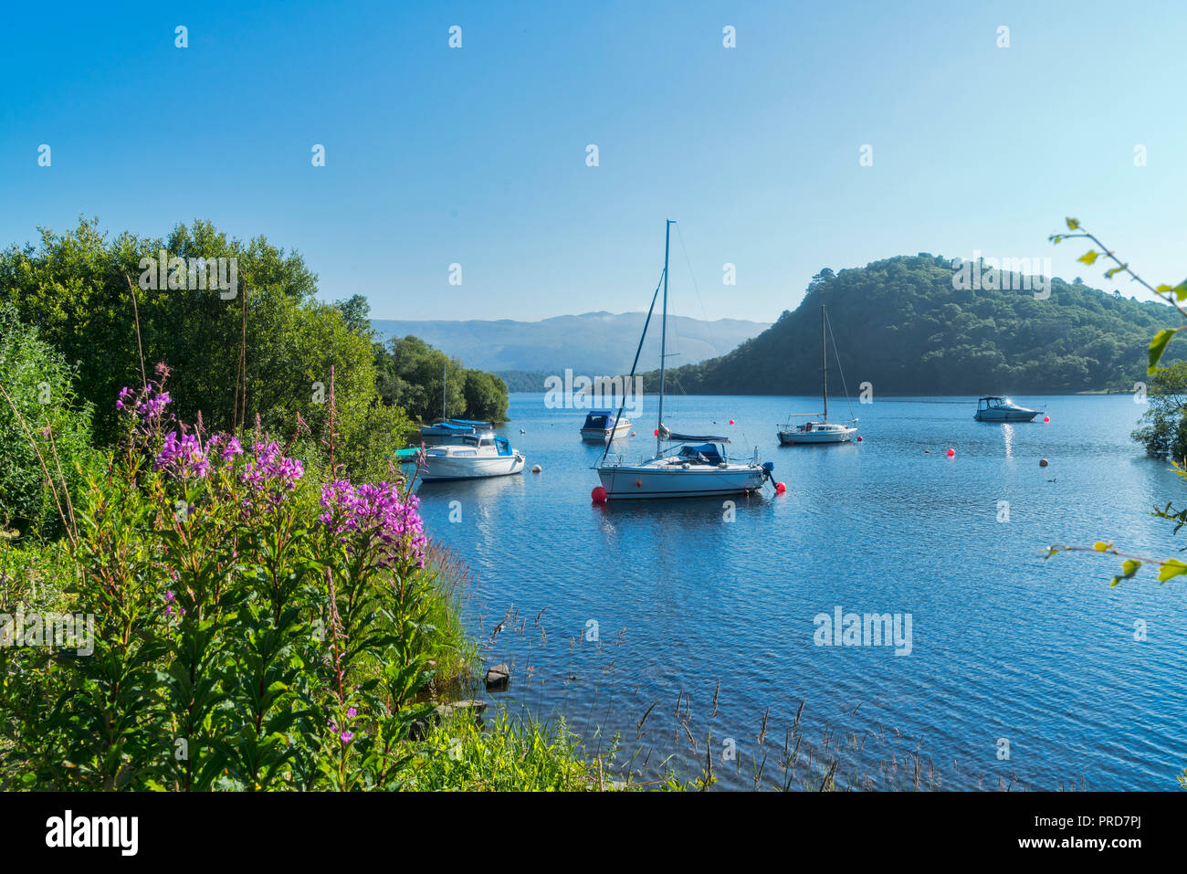 Loch of inch hi-res stock photography and images - Alamy
