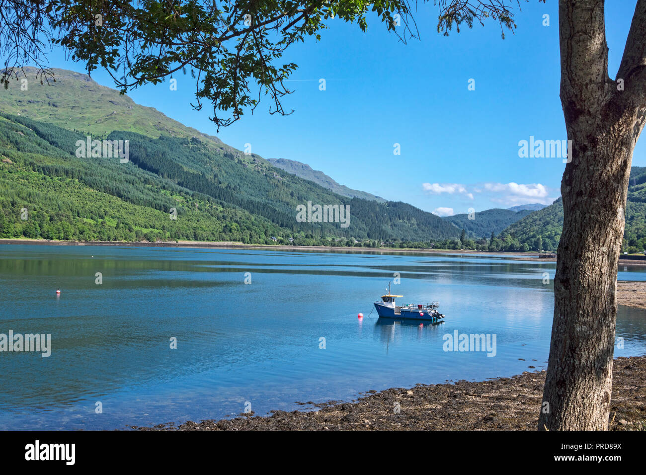 Loch long arrochar hi-res stock photography and images - Alamy