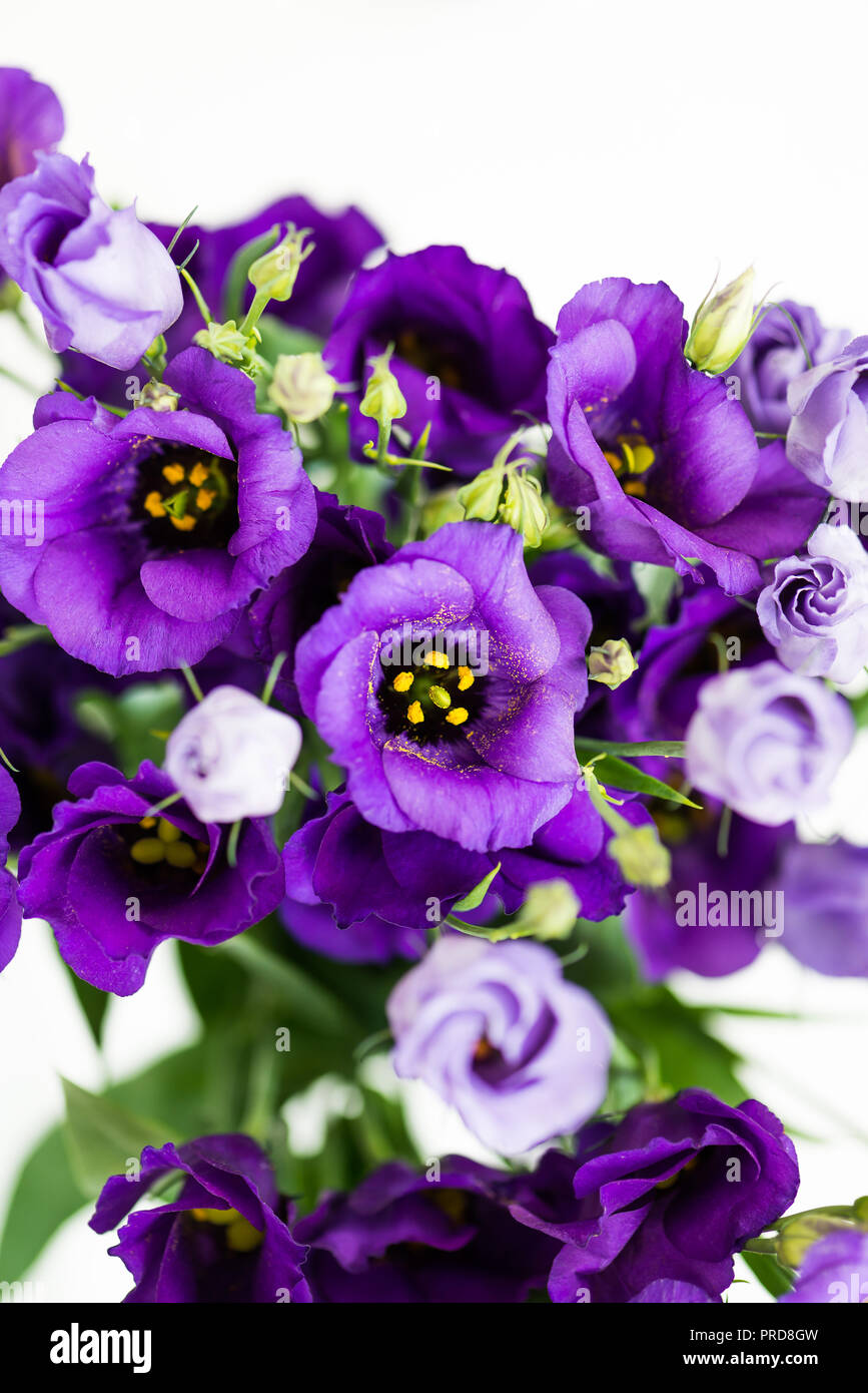 Beautiful Bouquet of Purple Eustoma flowers, Lisianthus, light ...