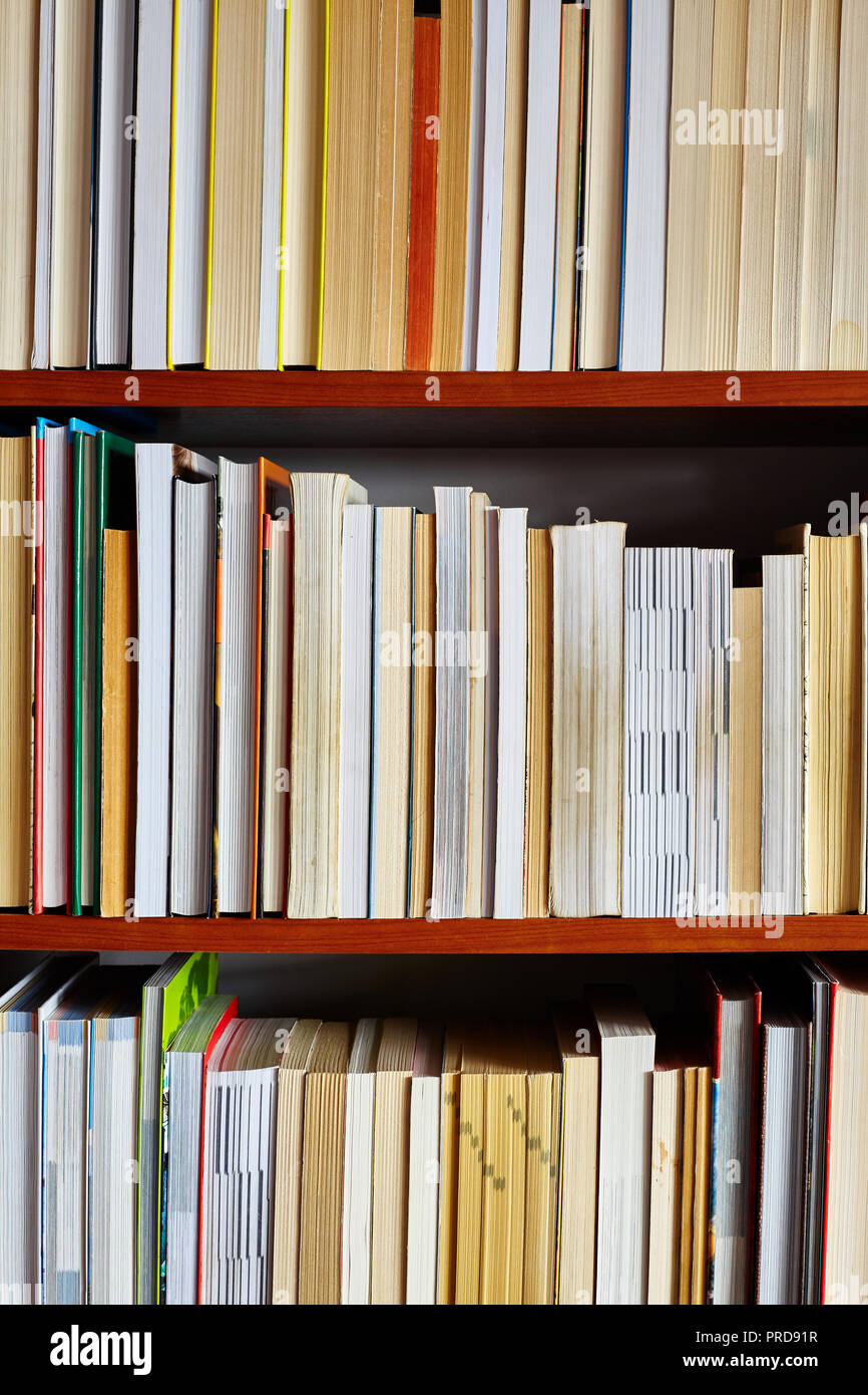School library books shelves hi-res stock photography and images - Alamy