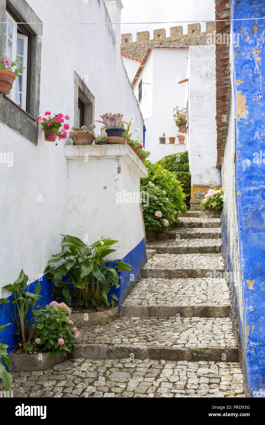 Typical neighborhood passageway, covered in calcada stones and lined ...