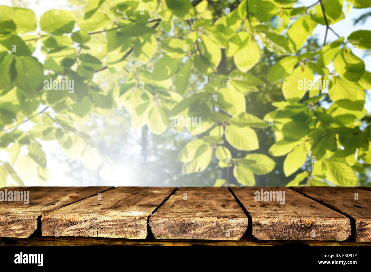 Spring background table Stock Photo - Alamy