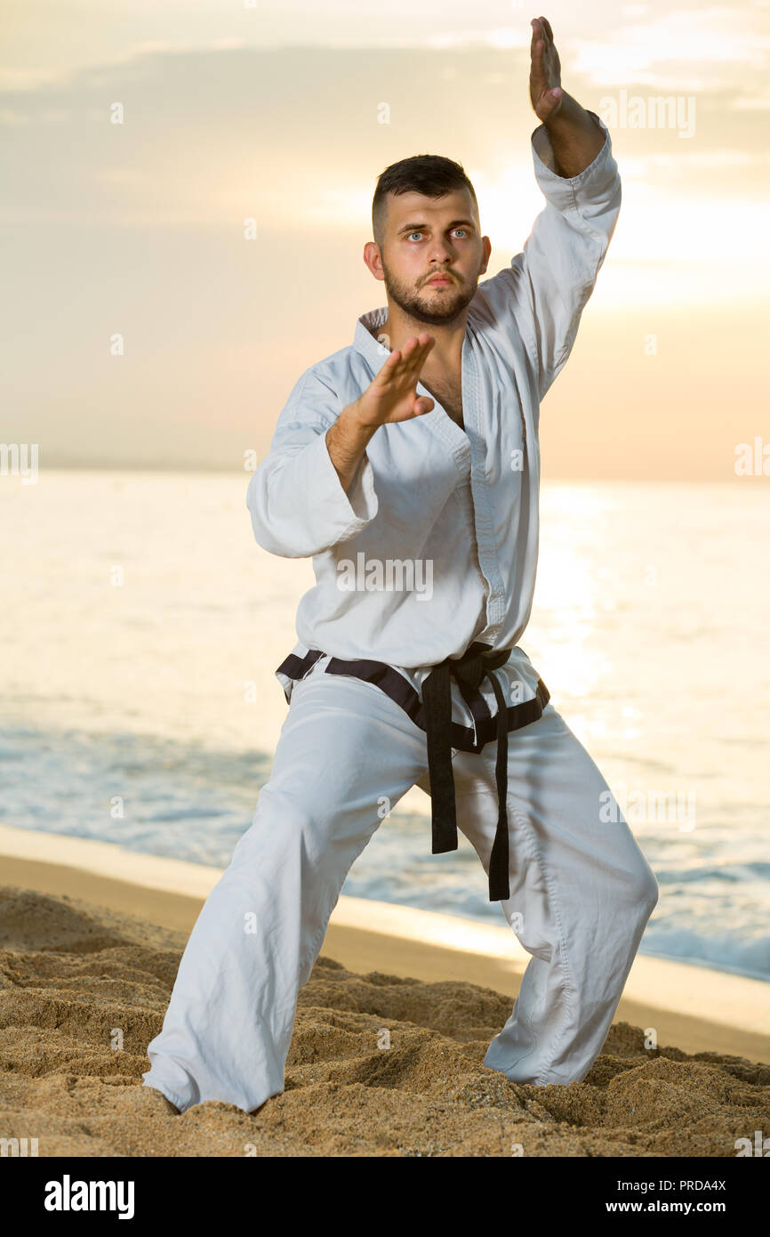 Young man practising karate kata poses at seaside Stock Photo - Alamy