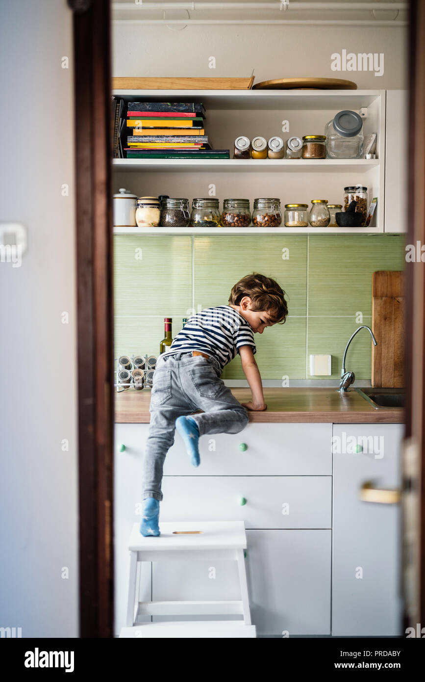Little boy climbing on a countertop in his kitchen Stock Photo - Alamy