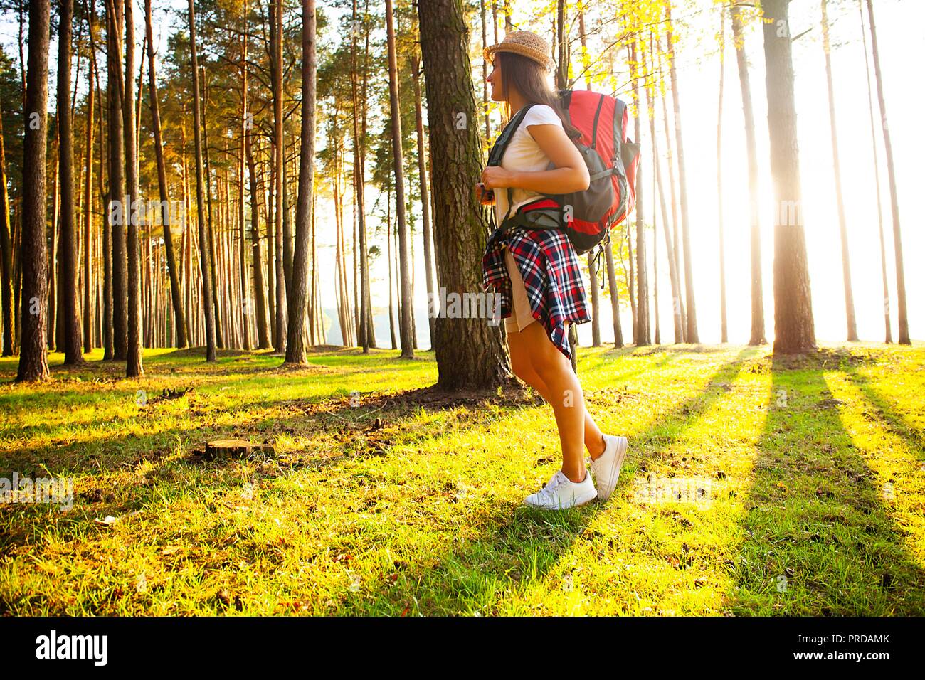 Woman Hiking Forest Path High Resolution Stock Photography and Images ...