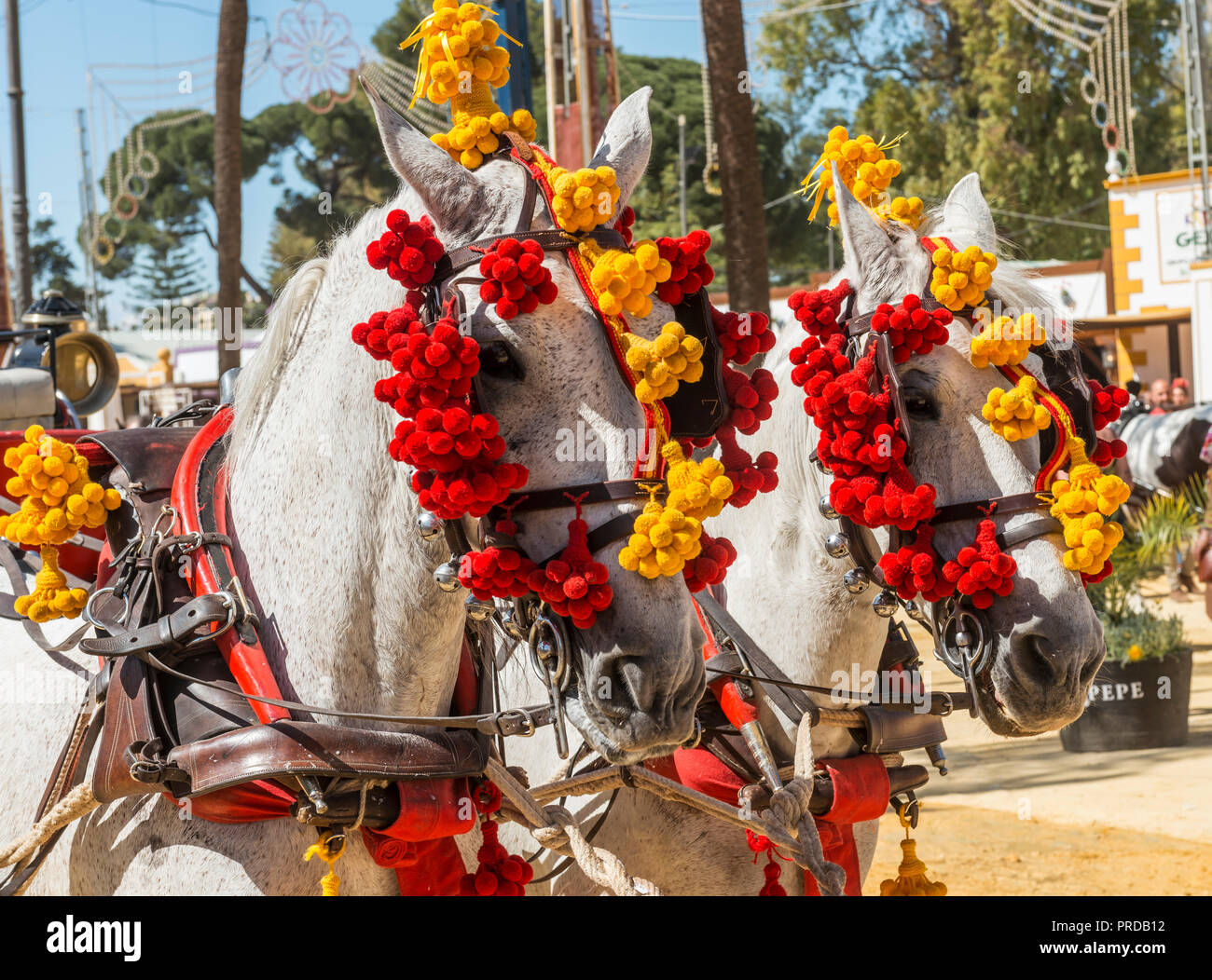 Jerez horses hi-res stock photography and images - Alamy