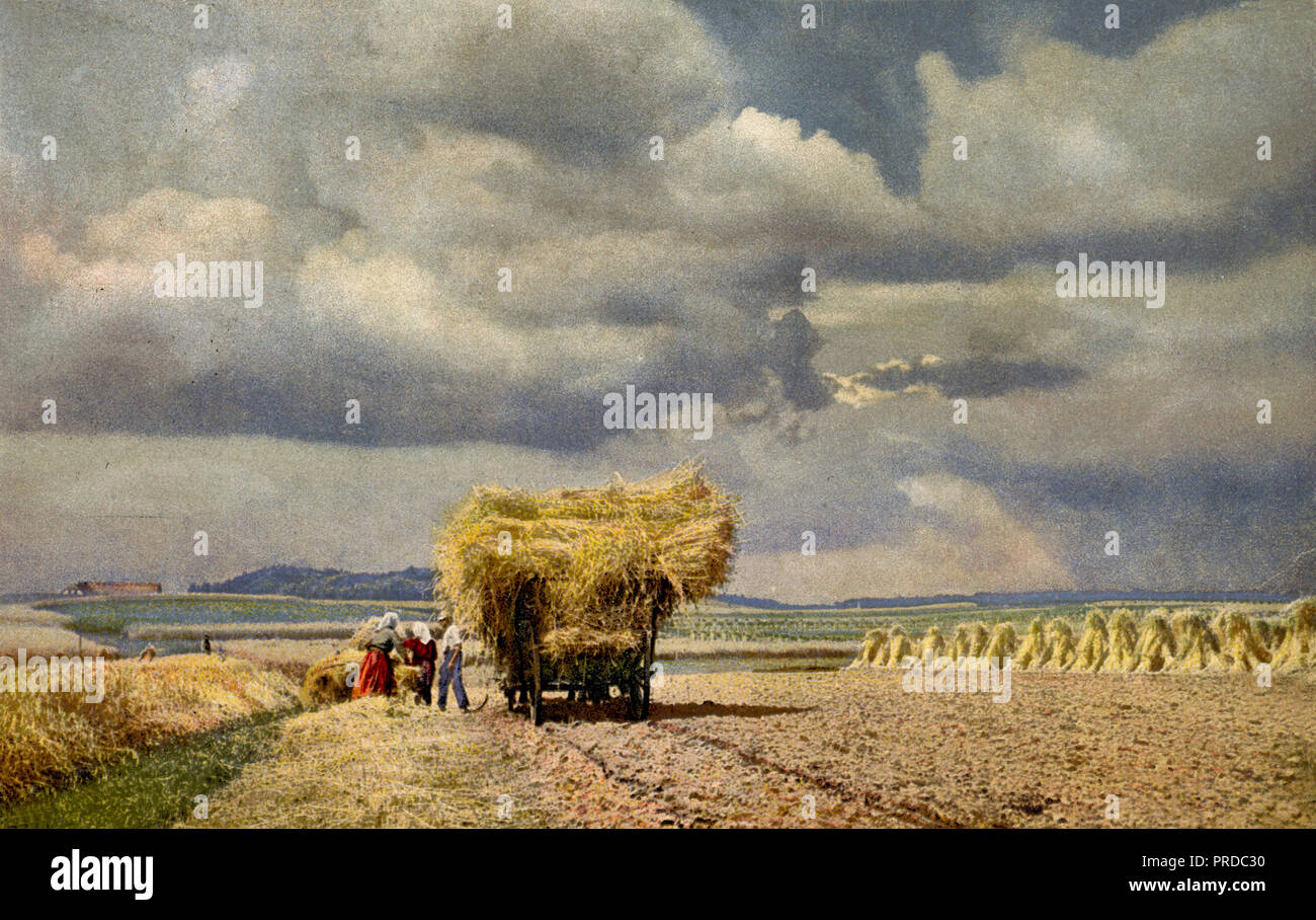 Sheaves of grain hi-res stock photography and images - Alamy
