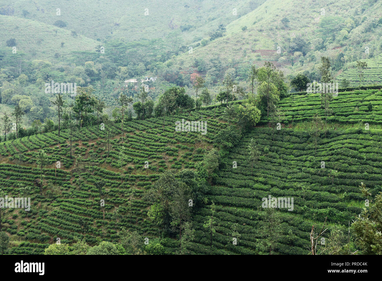 Beautyful places in kerala hi-res stock photography and images - Alamy
