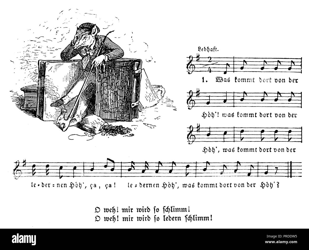 Humanized hi-res stock photography and images - Alamy