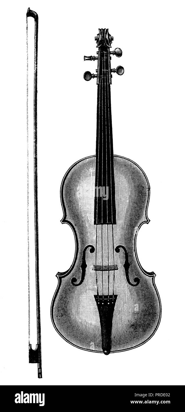 Viola drawing Cut Out Stock Images & Pictures - Alamy
