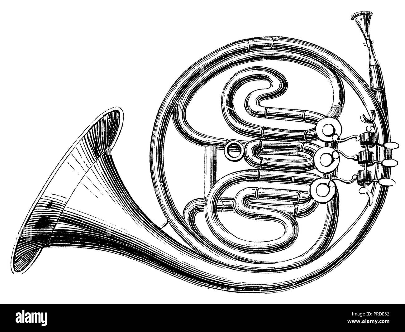 With french horn hi-res stock photography and images - Alamy
