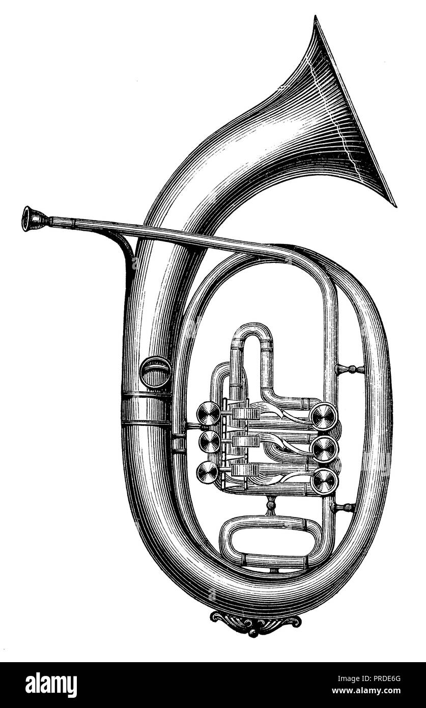 Bass Winghorn (Oval Shape), anonym 1890 Stock Photo - Alamy