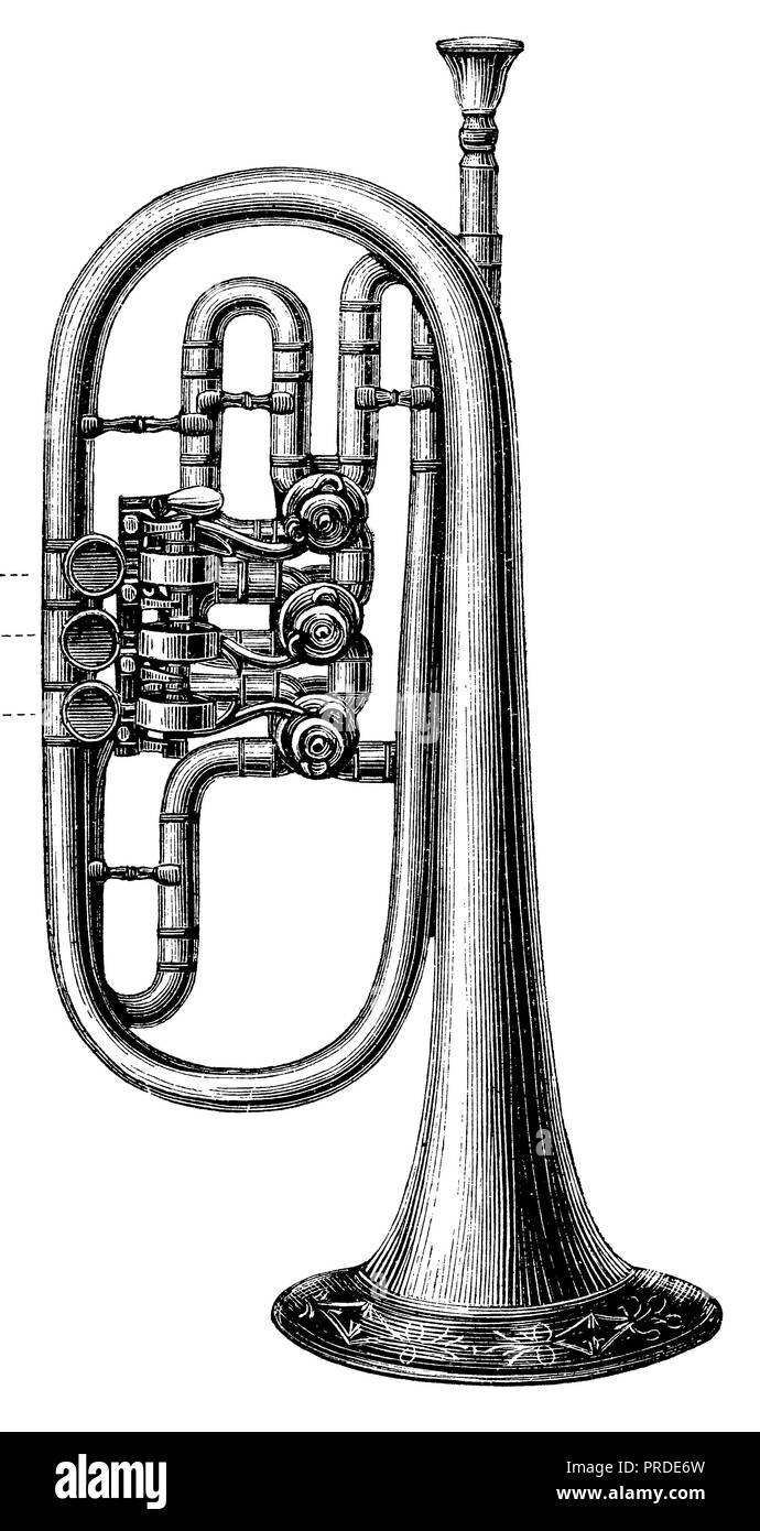 Cornett instrument hi-res stock photography and images - Alamy