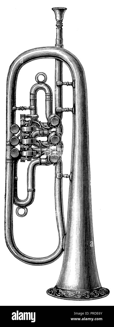 Cornett instrument hi-res stock photography and images - Alamy