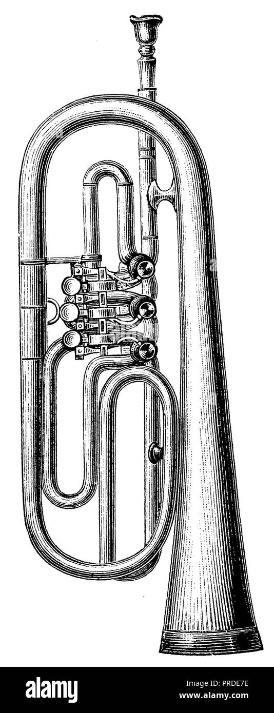 Old corn Cut Out Stock Images & Pictures - Alamy