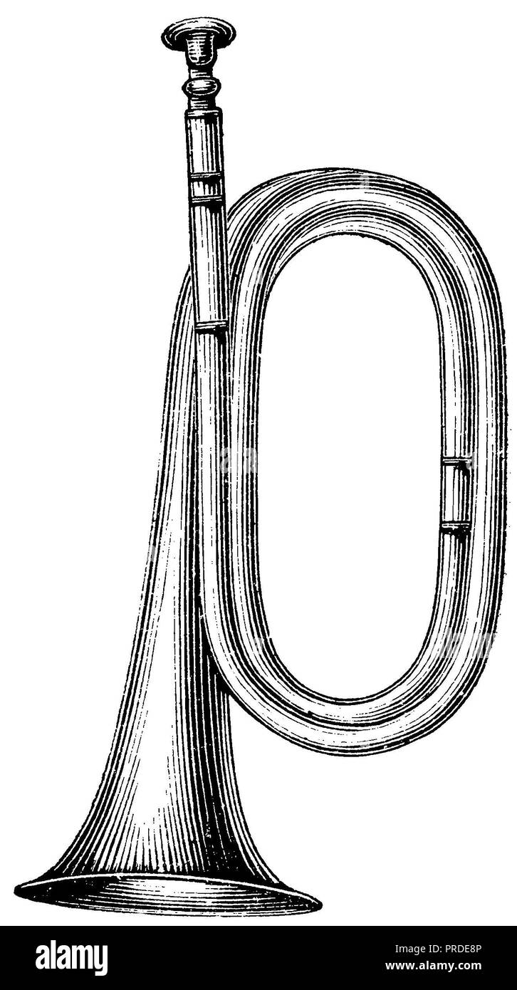 Short form hi-res stock photography and images - Alamy