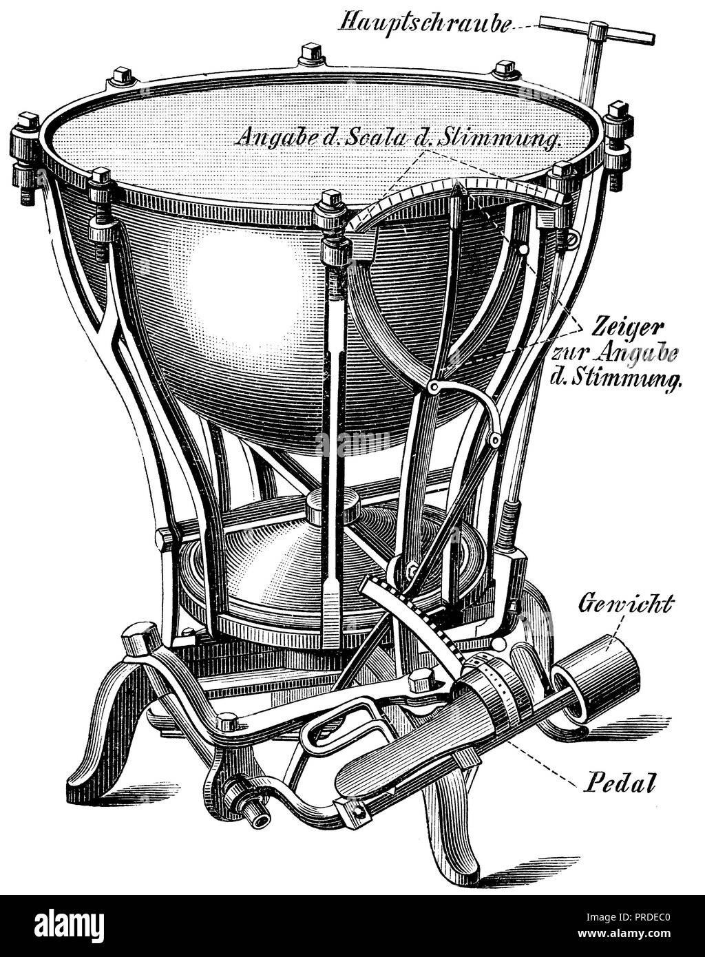 Timpani Drawing