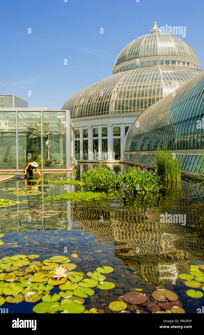 Marjorie McNeely Conservatory at Como Park in St Paul, Minnesota Stock ...