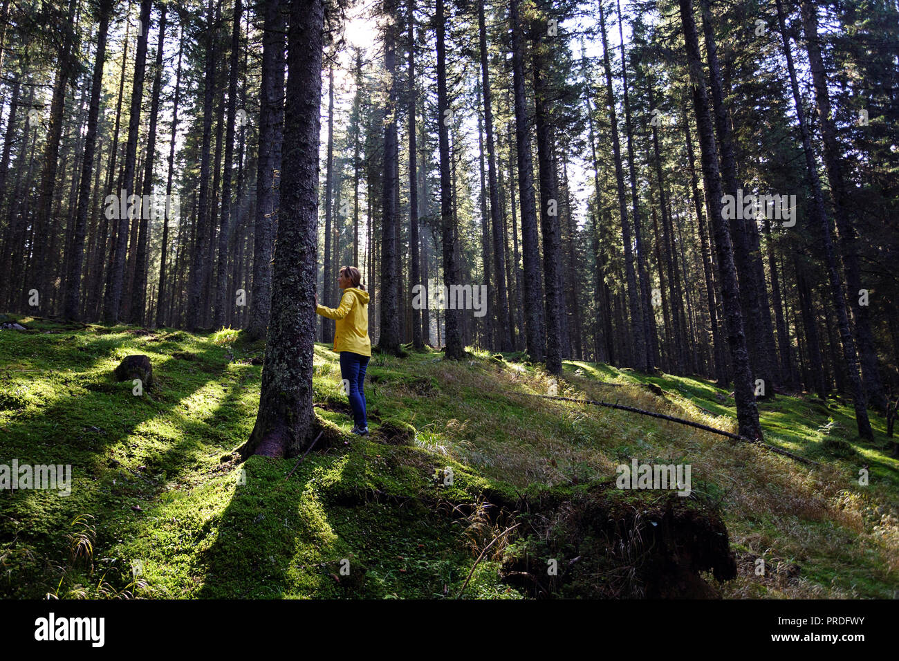 Woman vintage explore hi-res stock photography and images - Alamy