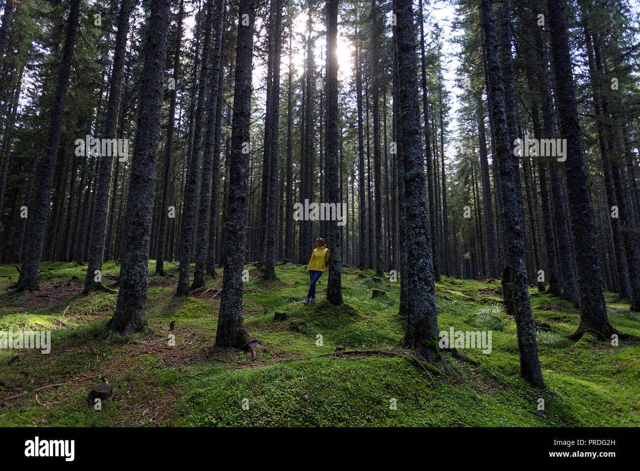 Woman vintage explore hi-res stock photography and images - Alamy