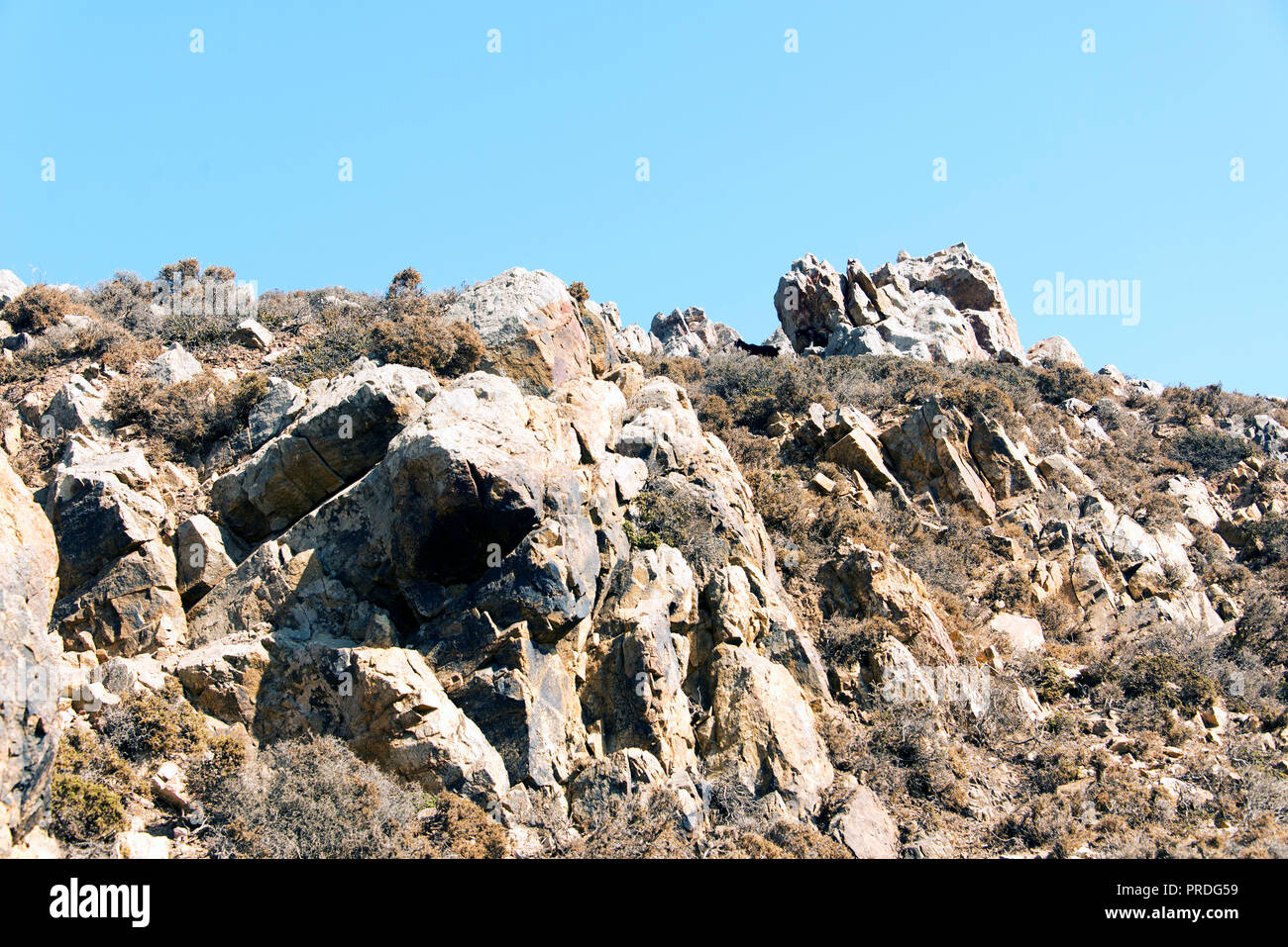 Surface of rocks as a background Stock Photo - Alamy