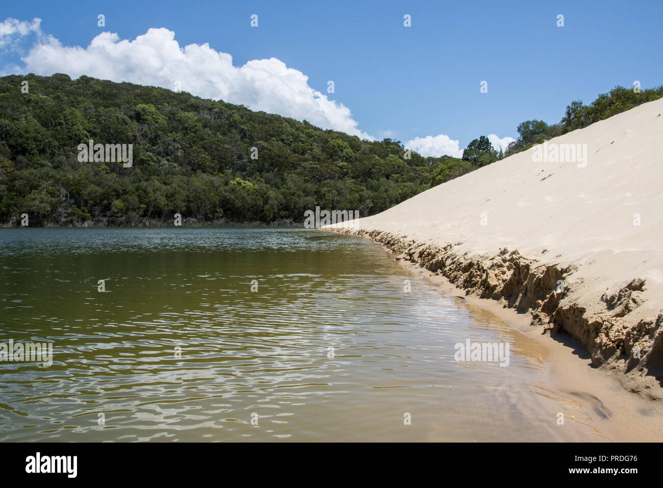 Lake on Fraser Island, Queensland, Australia with forest and large sand ...
