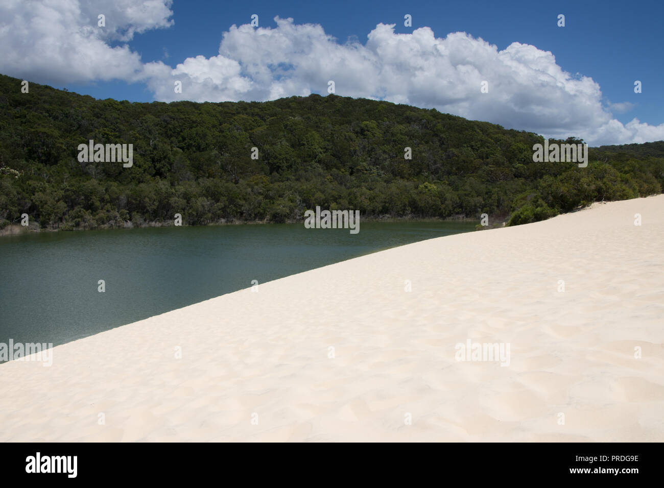 Lake, forest and sand blow on Fraser Island, Queensland, Australia ...