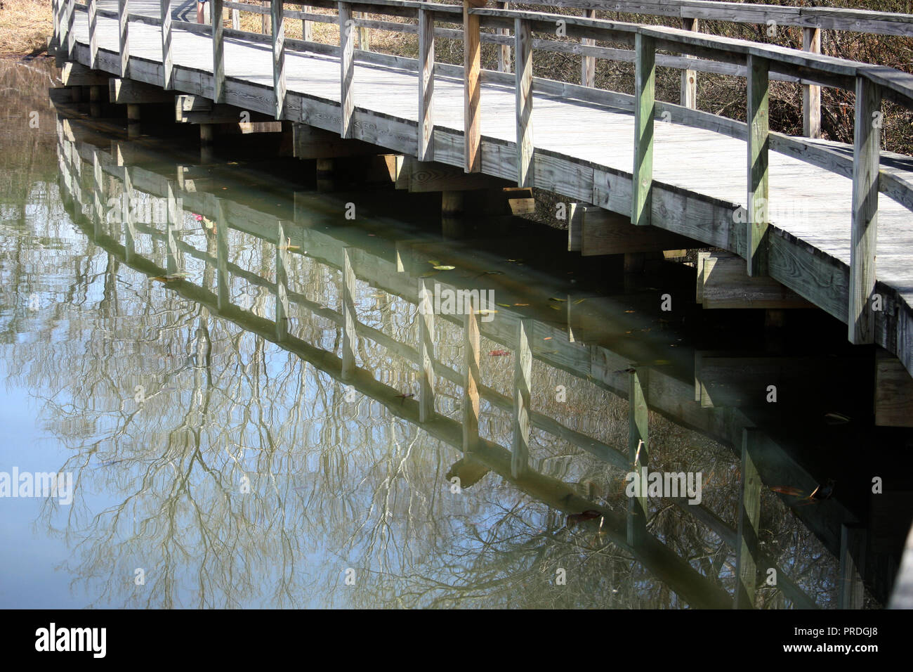 Wooden pier over lake at James River State Park, VA, USA Stock Photo ...