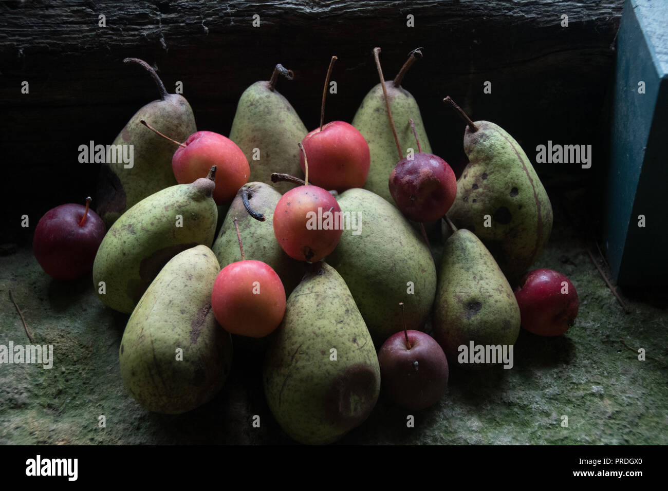 Collection of pears and plums Stock Photo - Alamy