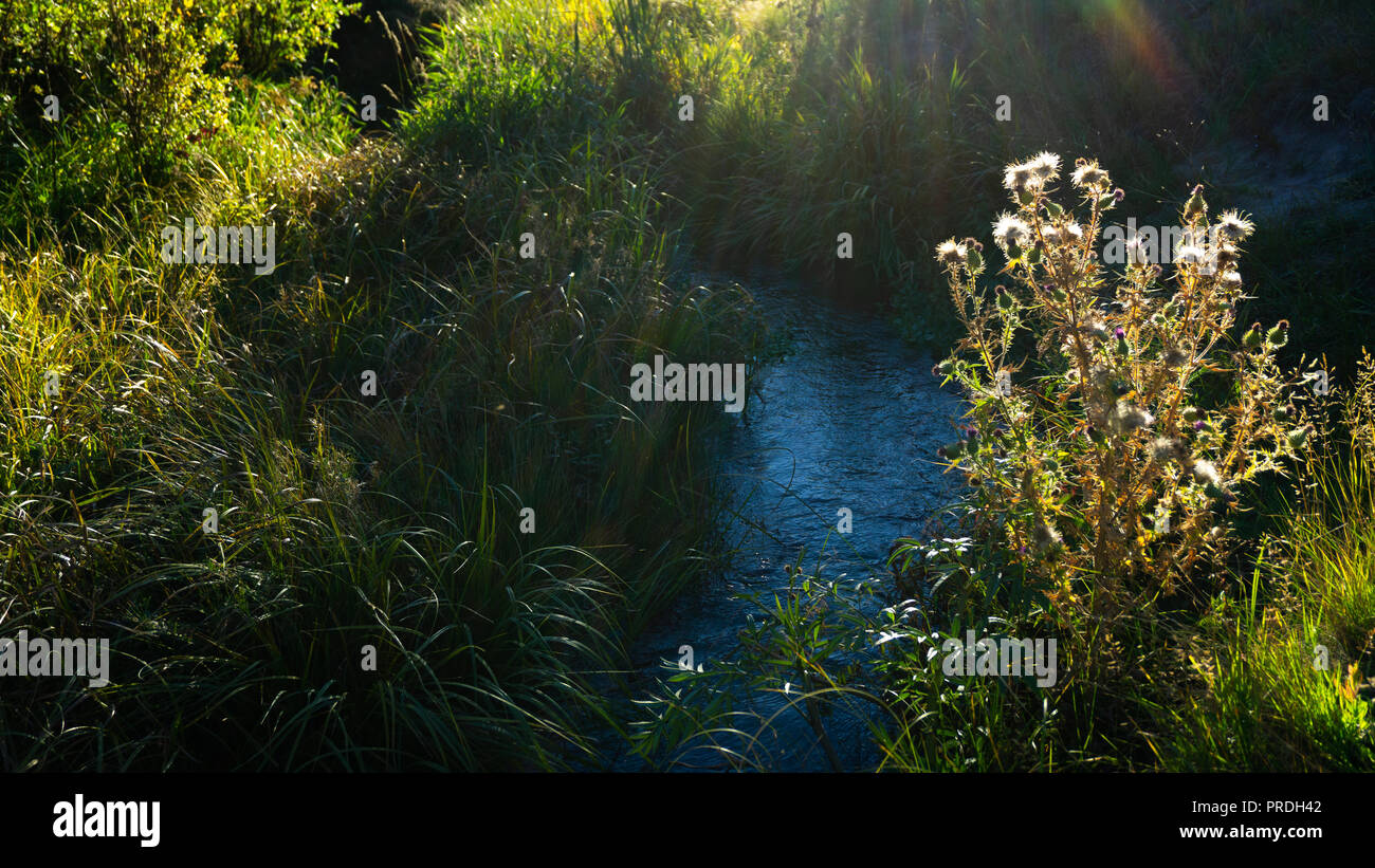 Meadow creek hi-res stock photography and images - Alamy