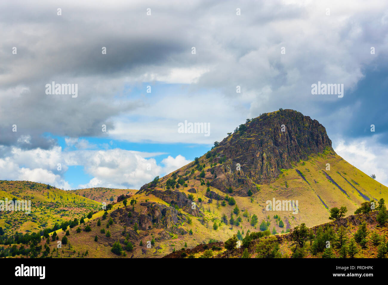 Fossil park hi-res stock photography and images - Alamy