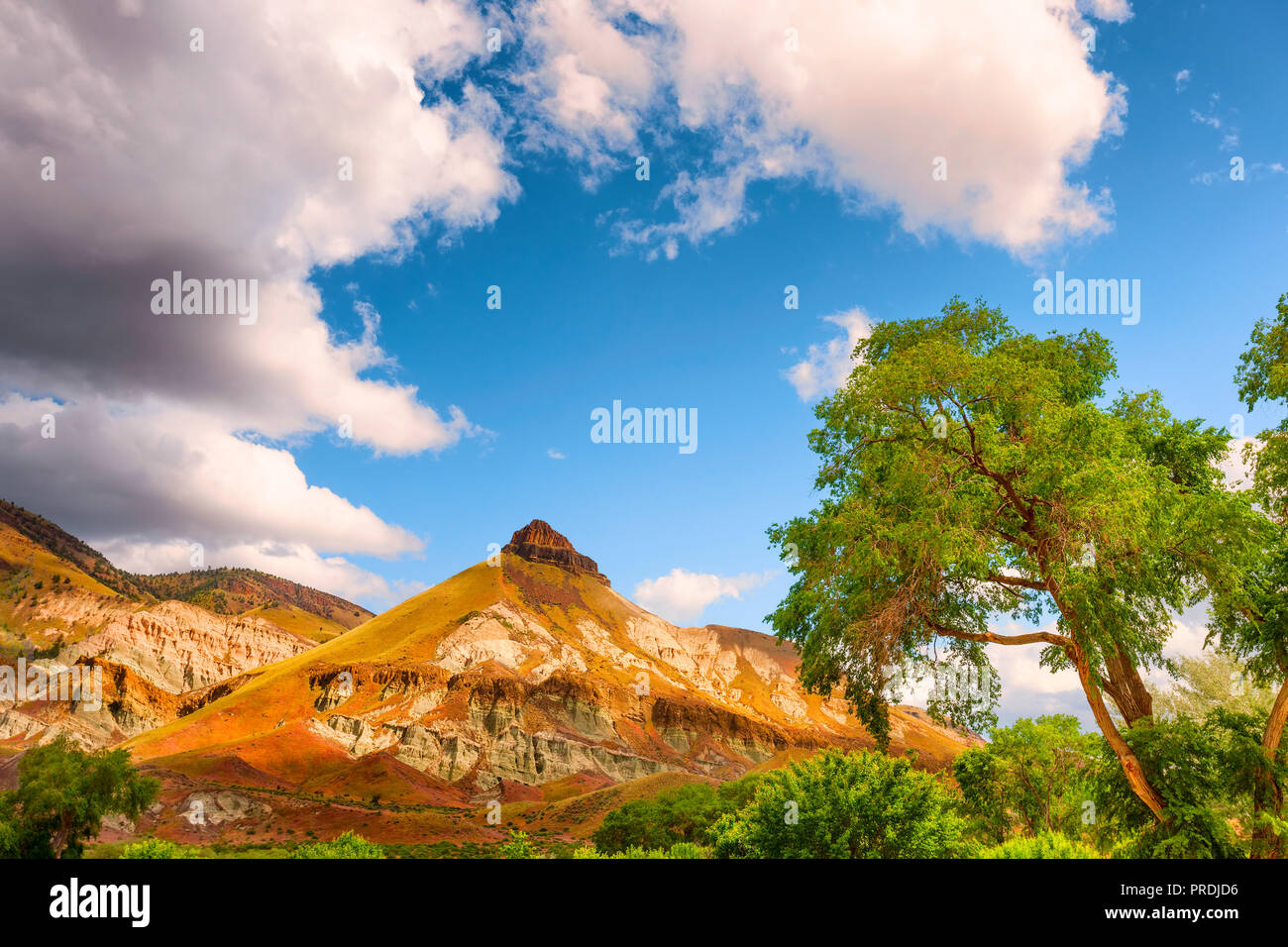 Sheep Rock a geological feature in the Sheep Rock Unit of John Day ...