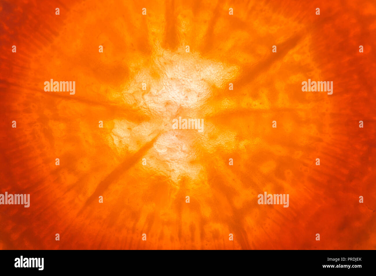 Carrot cross section Room for text Stock Photo - Alamy