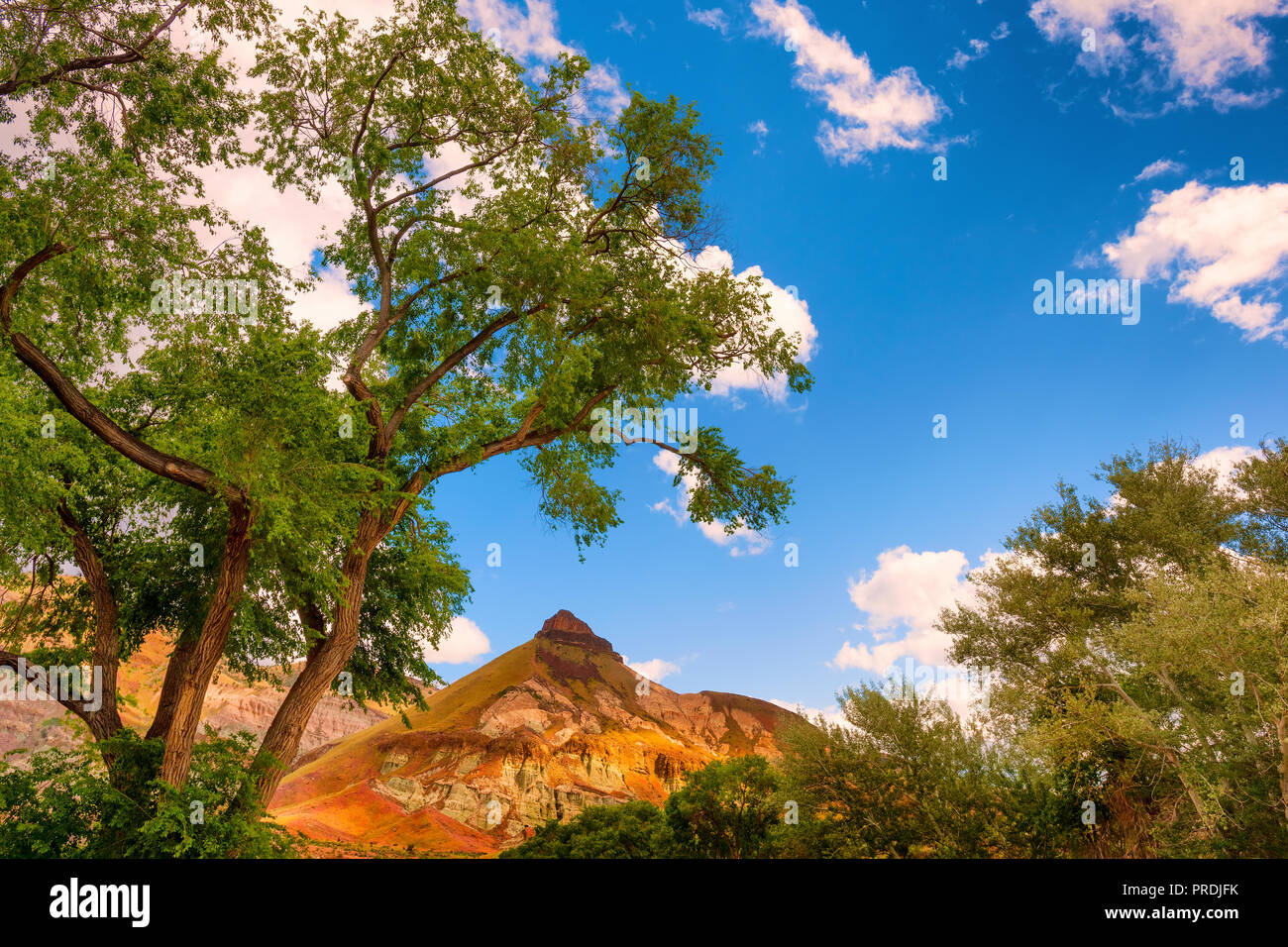 Sheep Rock a geological feature in the Sheep Rock Unit of John Day ...