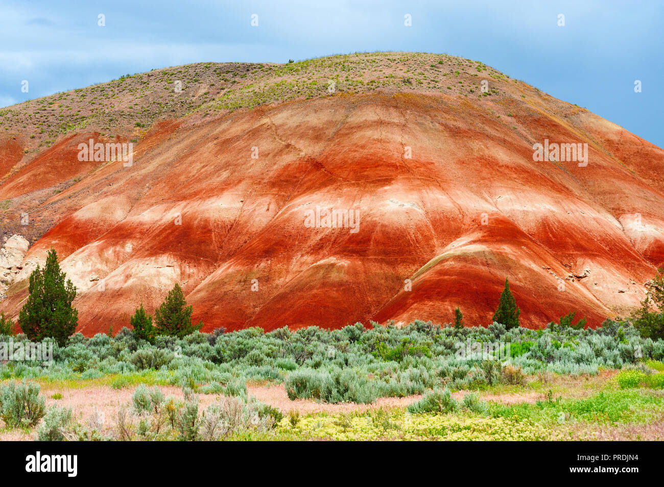 Mound beds hi-res stock photography and images - Alamy
