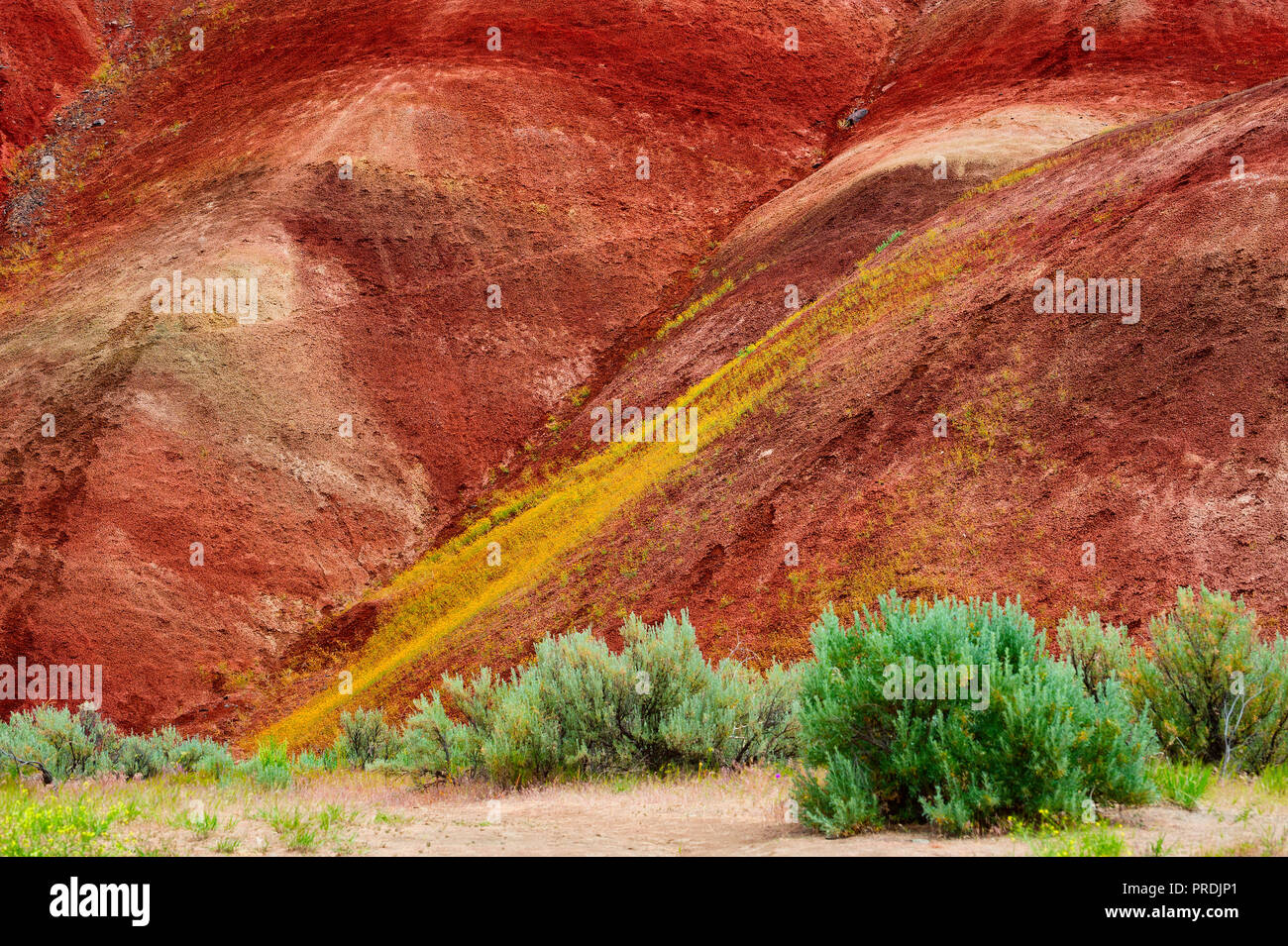 One of the many painted mounds that can be found throughout the John ...