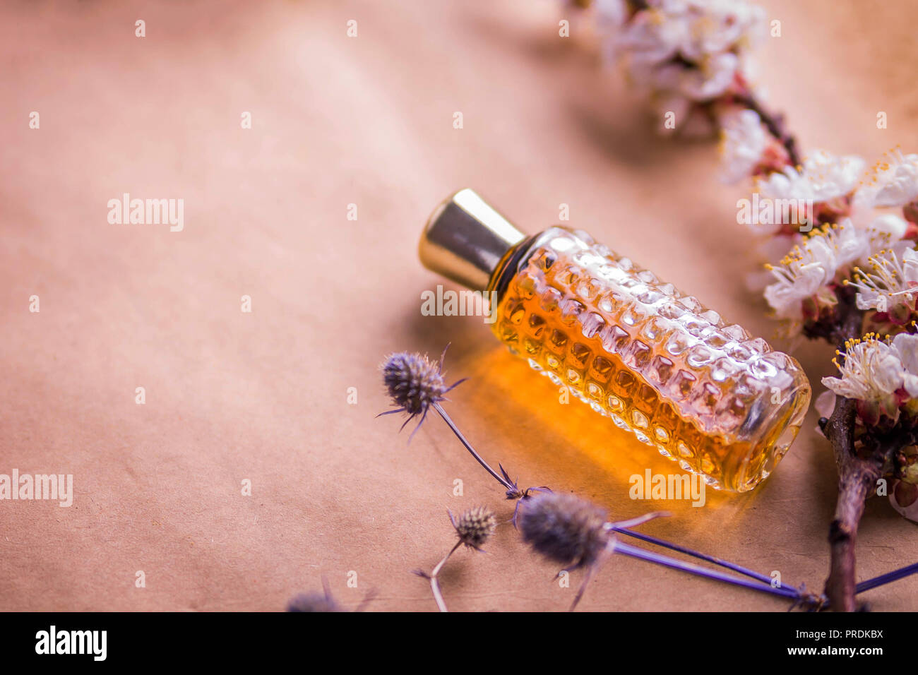 Bottles of perfume with ingredients on paper Stock Photo - Alamy