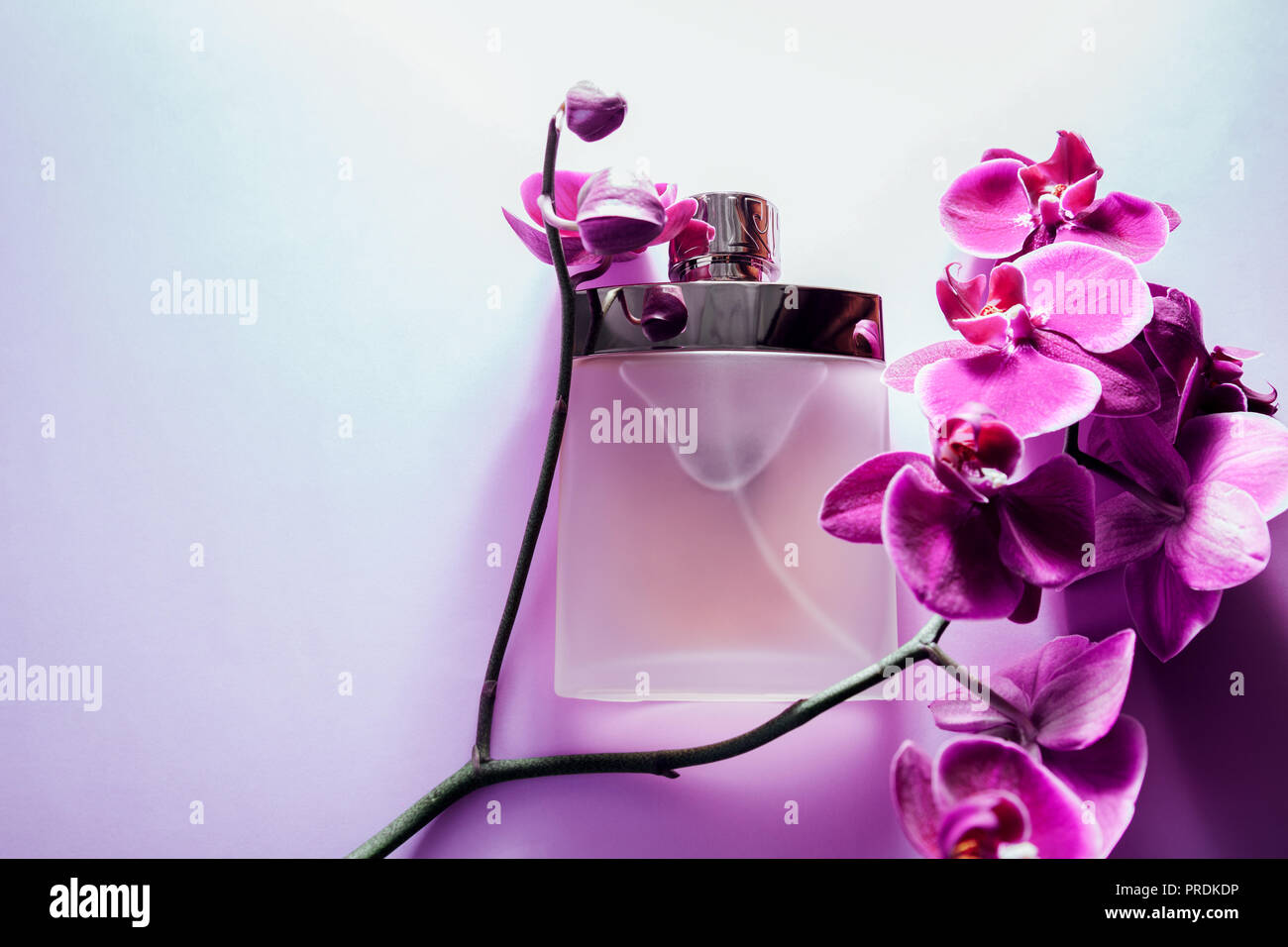 Bottle of perfume with violet orchid on purple background Stock Photo ...