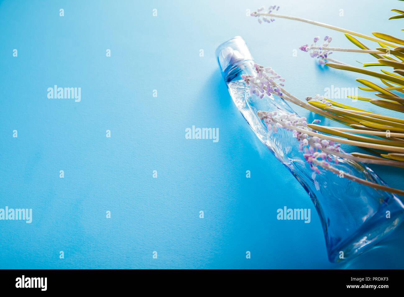 Perfume background hi-res stock photography and images - Alamy