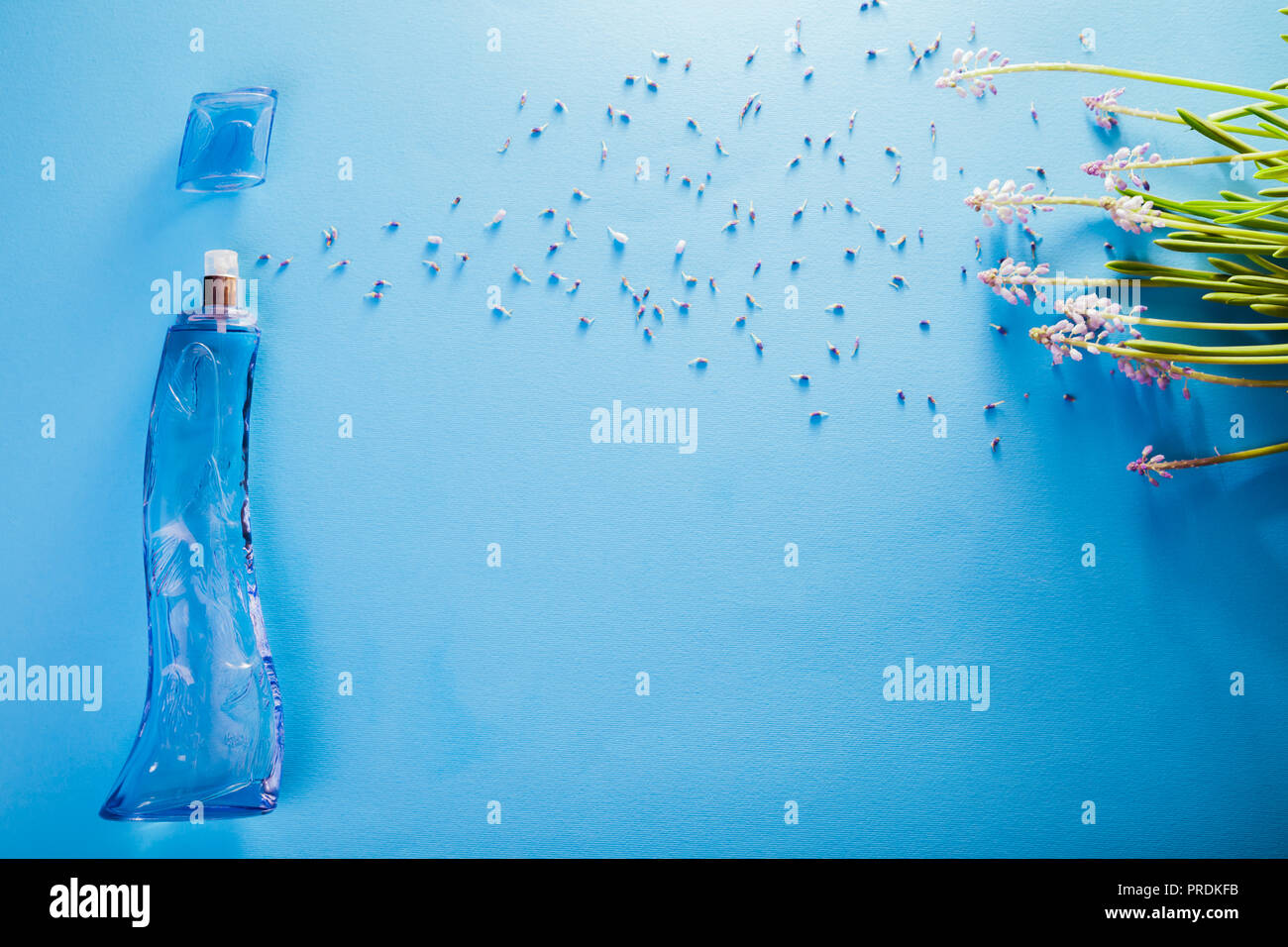 Fragrance bottle hi-res stock photography and images - Alamy