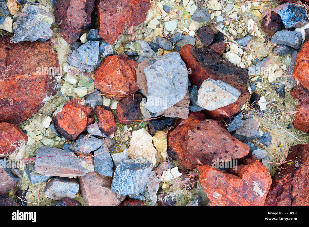 Fossil rocks hi-res stock photography and images - Alamy