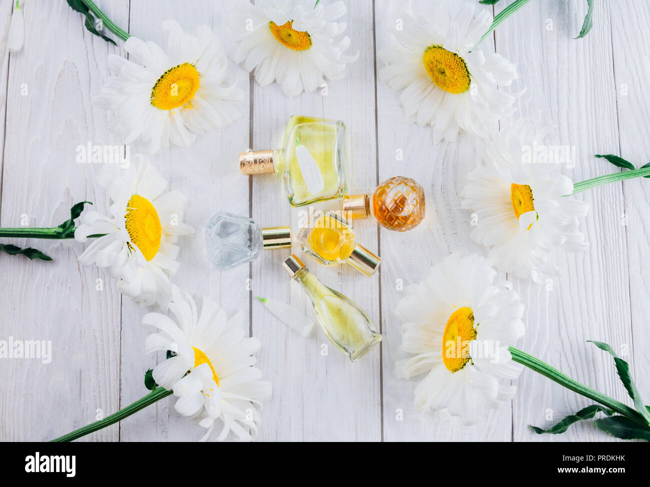 Bottles of perfume with camomile on white background Stock Photo - Alamy