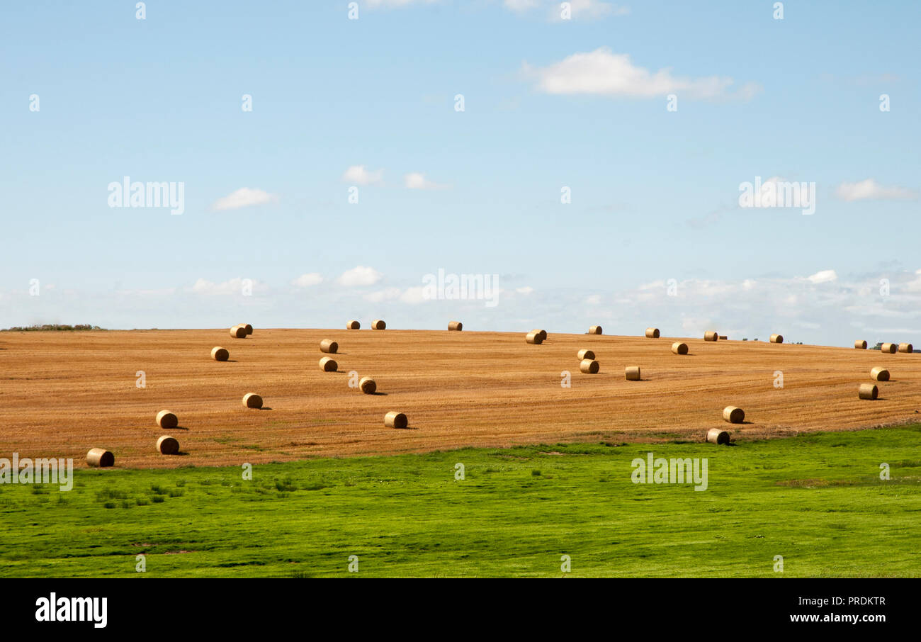 Large straw bales hi-res stock photography and images - Alamy