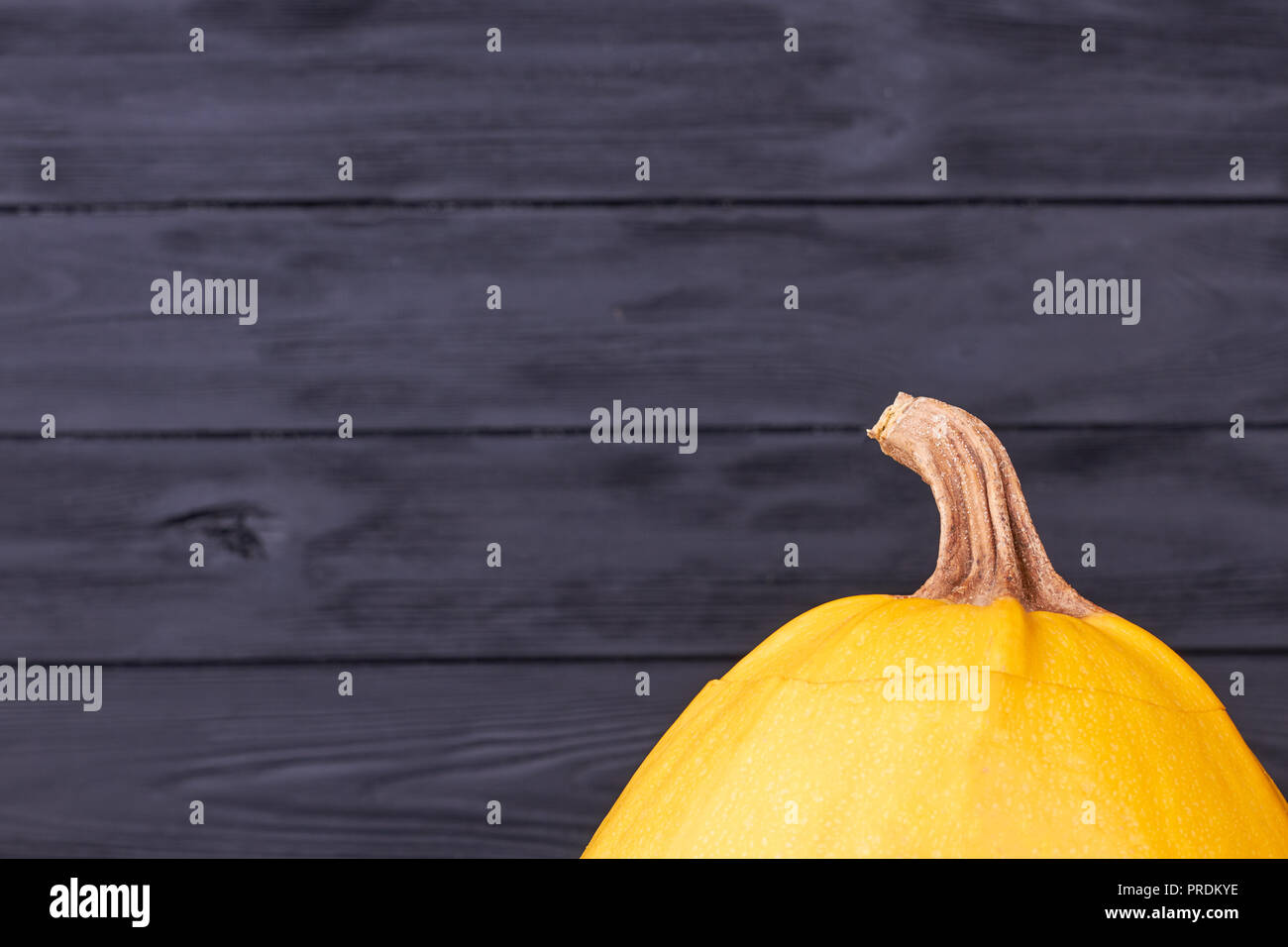 Yellow pumpkin stem on dark background Stock Photo - Alamy