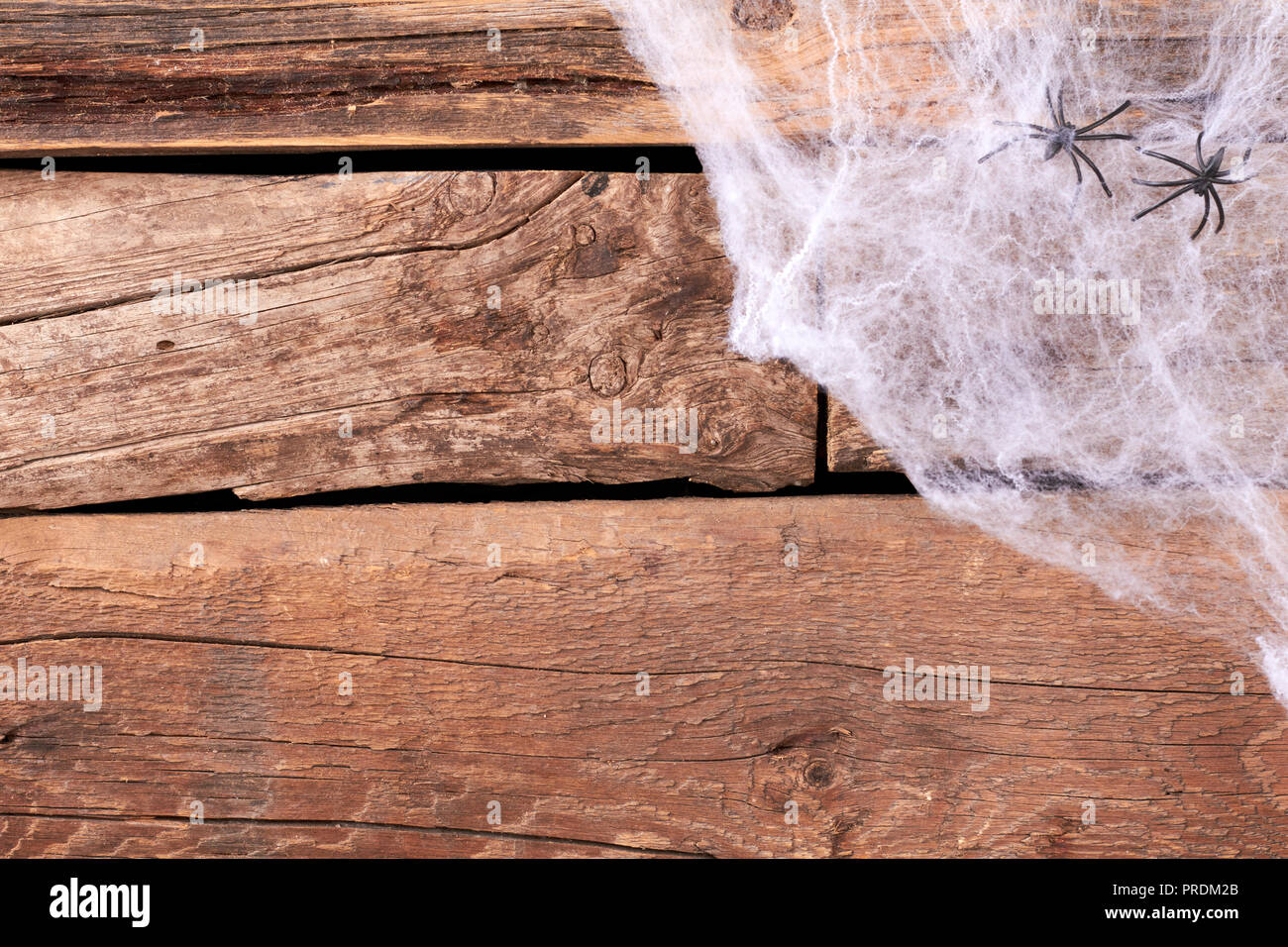Decorative creepy web and spiders Stock Photo - Alamy