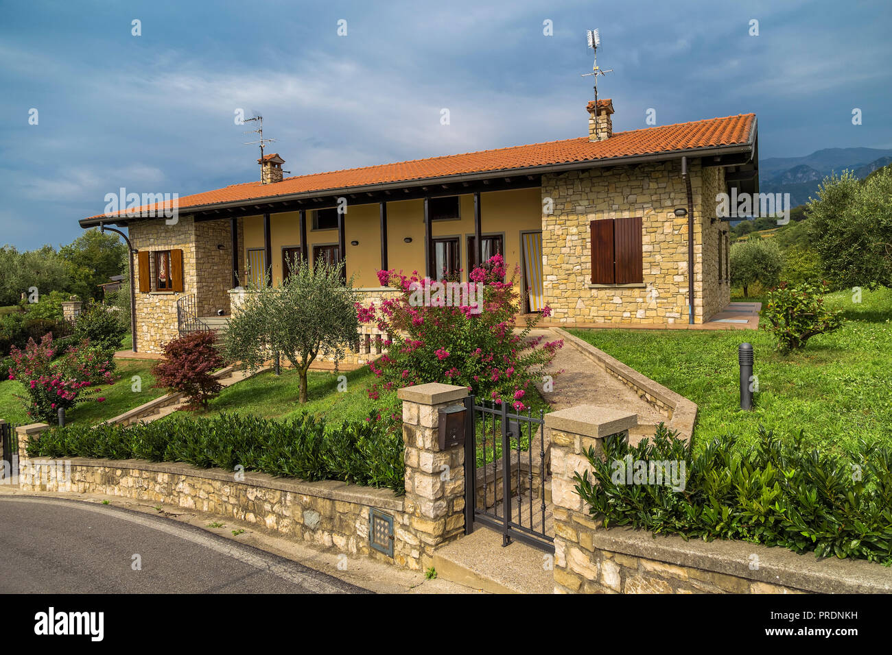 Yellow field flowers farm italy hi-res stock photography and images - Alamy